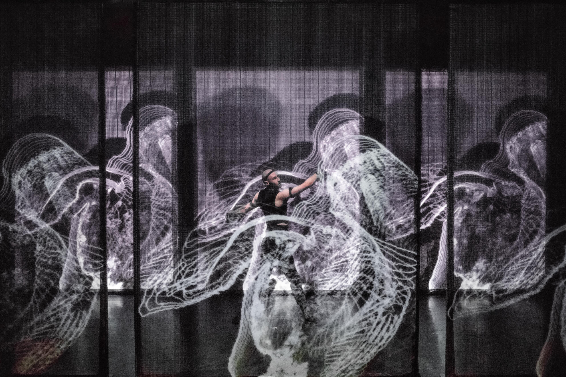 Alexander Whitley | ANTI-BODY | SWR/ARTE | NIGHTFROG.COM